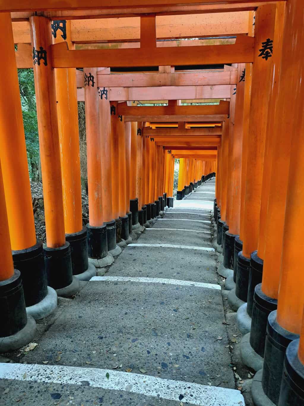 Tips for visiting the fascinating fushimi inari shrine, kyoto